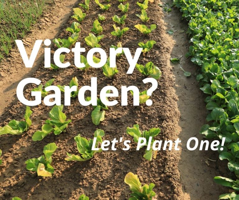 Let’s Plant a Victory! …Garden, That is. – Barbed Wire Hollow